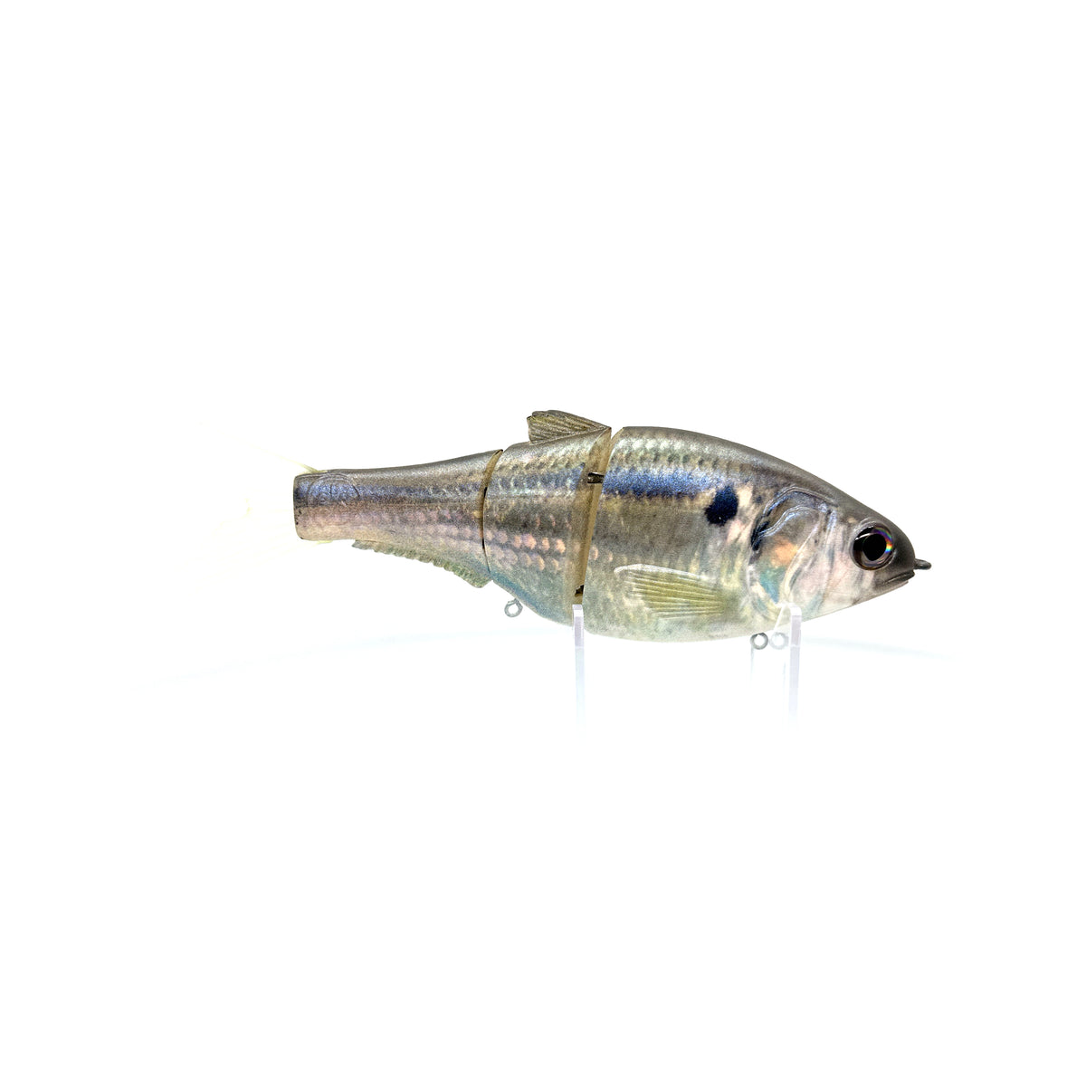 Passenger - Threadfin – 86 Baits